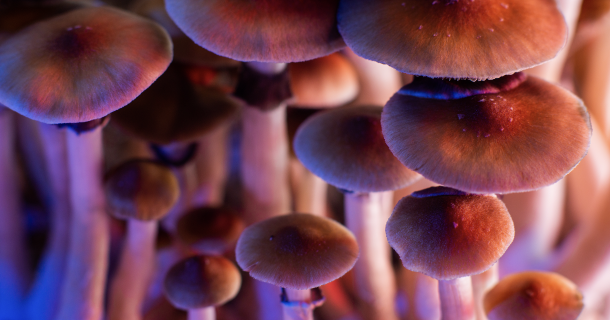 Reducing Ada code bases with adareducer | AdaCore